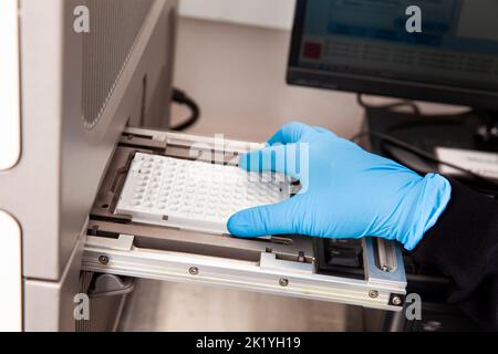 Wissenschaftler beladen Proben in einen RT-PCR-Thermocycler im Labor ...