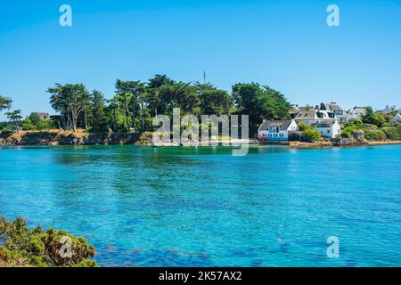 Frankreich, Morbihan, Belz, Ufer des Flusses Etel, Pointe de la Garenne ...
