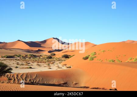 Tolle Aussicht auf die Dünen von Sossusvlei. Namib Naukluft National ...