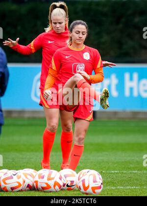 ZEIST, NIEDERLANDE - 10. OKTOBER: Danielle van de Donk aus den ...