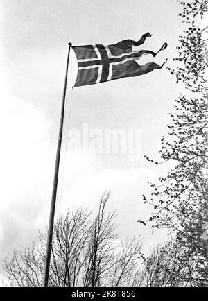 Oslo 19450511 Frieden in Norwegen, die Übernahme von Akershus. Die ...