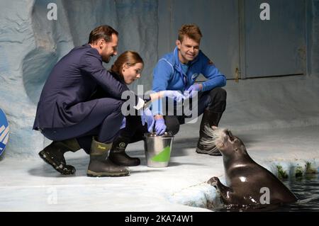 Tromsoe, Norwegen 20181117. Prinzessin Ingrid Alexandra füttert Wels ...