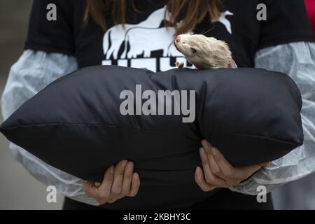 Stille Proteste in der Innenstadt von Sofia, Bulgarien, am 26. Februar ...