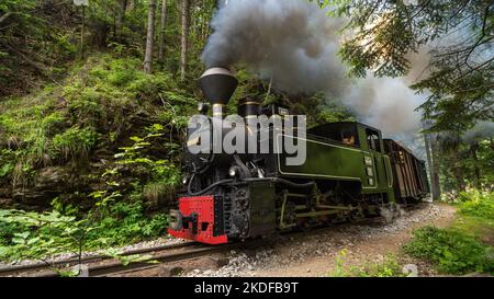 Alte Dampfeisenbahn, die entlang der Gleise schnuppert / Mocanita ...