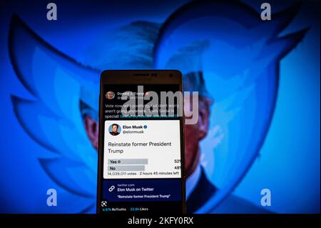 Donald Trump twitter-Account auf dem Handy-Bildschirm gesehen. Das ...