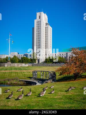 Herbstfotos, aufgenommen um das Walter Reed National Military Medical ...