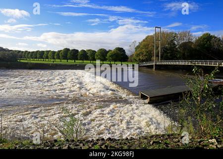 Der Fluss Taff an der Blackweir-Brücke und Lachse laufen nach starkem Regen. Weißes Wasser am ...