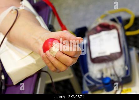 Kaltenkirchen, Deutschland. 25.. November 2022. Eine Frau spendet Blut während einer Blutspende ...