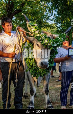 31.07.2021., Kanfanar - U parku istarskog vola U Kanfanaru odrzala se ...