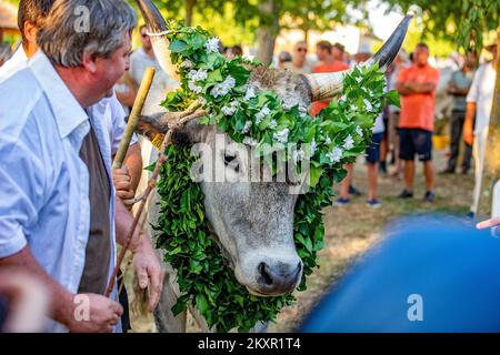 31.07.2021., Kanfanar - U parku istarskog vola U Kanfanaru odrzala se ...
