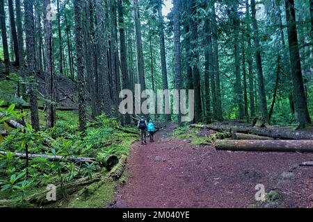Wandern Sie auf dem Pacific Crest Trail, Oregon, USA, durch die ...