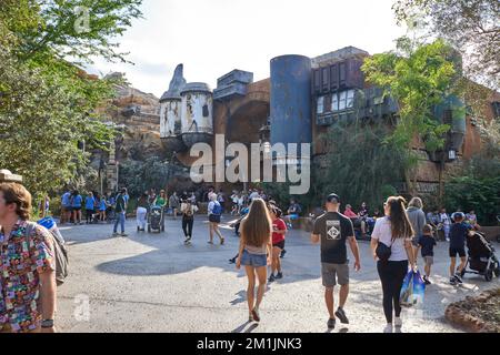 11. Dezember 2022. Orlando, Florida, USA. Disney's Hollywood Studios ...