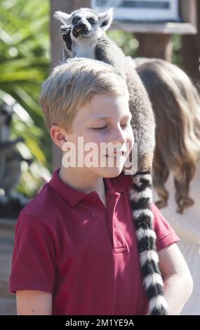 Prinz Emmanuel fotografierte mit einem Lemur auf dem Kopf während eines ...