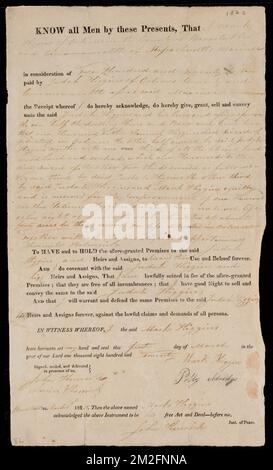 Deed of property in Orleans sold to Theophilus Mayo, Samuel Mayo, and ...