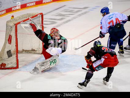 Links nach rechts Goalwart Henrik HAUKELAND (DEG), Nicolas GEITNER (DEG ...