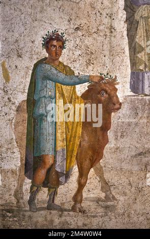 Participolare da " Giasone e Pelia " - affresco - Pompeji, Casa di ...