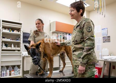 Oberst Deborah Whitmer, USA Leiter des Veterinäramts der Armee, besucht ...