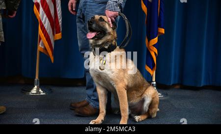 USA Air Force 377. Security Forces Staffel Military Working Dog Tommy ...