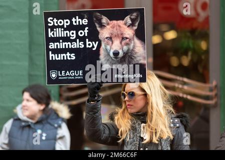 Protest gegen die Jagd und die Fuchsjagd bei der Essex mit Farmers ...