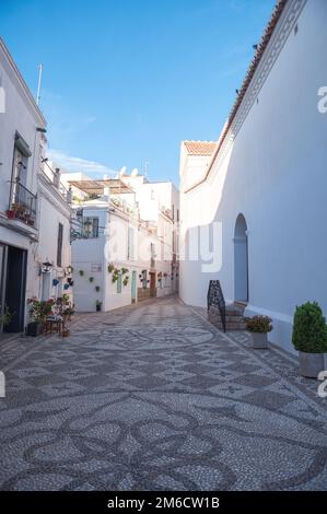 Blumen im Beach Resort von Nerja, Axarquia, Malaga, Andalusien, Costa ...