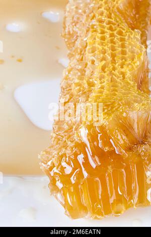 Honigbiene frische gelbe Honigwaben. Hexagonalzellen der ...