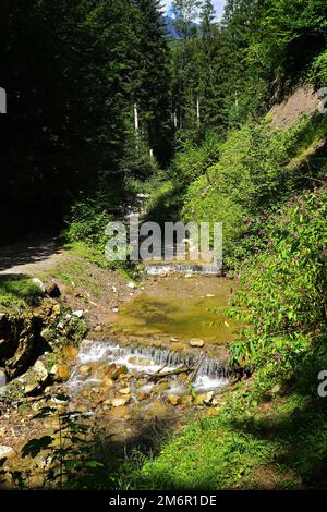 Rehbachklamm bei Scheffau am Wilden Kaiser, Österreich; Rehbachklamm ...