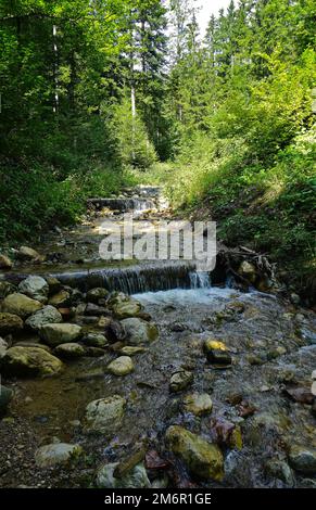 Rehbachklamm bei Scheffau am Wilden Kaiser, Österreich; Rehbachklamm ...