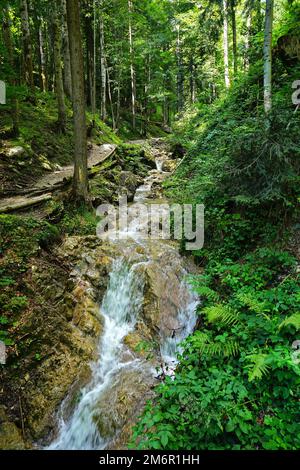 Rehbachklamm bei Scheffau am Wilden Kaiser, Österreich; Rehbachklamm ...