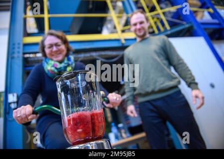 17. Januar 2023, Sachsen-Anhalt, Magdeburg: Judith Zadek, Koordinatorin ...