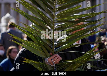 Nuns hold palm tree branches as they attend an open-air Palm Sunday ...
