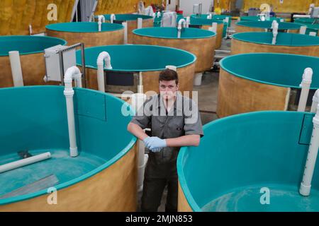 Peter Bowyer, the facility manager at AquaBounty Technologies, holds ...