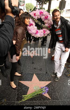 Nicht lange nach ihrem Tod wurde ein Kranz auf den Hollywood Walk of ...