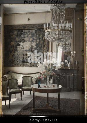 Den Haag, Niederlande, Kunst, Habitat, Architektur, Blume, Bogen ...