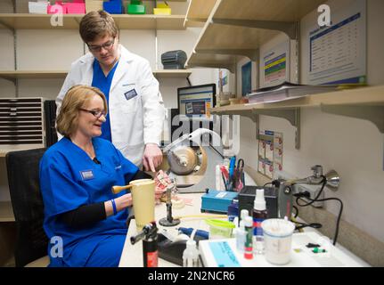 IMAGE DISTRIBUTED FOR ASPEN DENTAL - Owatonna Mayor Tom Kuntz , left ...