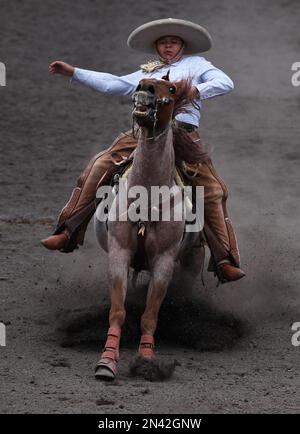 A Charro performs a "Cala de Caballo" which consists of riding a horse ...