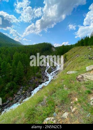 Der Alpenfluss fließt über Steine aus den Bergen inmitten des Waldes in ...
