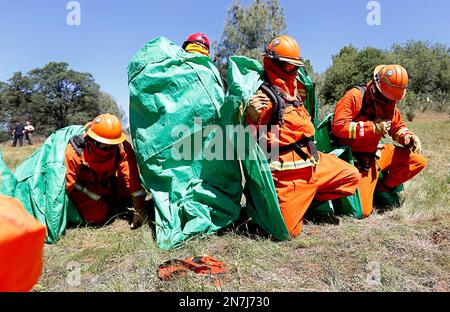 Inmates from the Washington Ridge Conservation Camp practice creating a ...