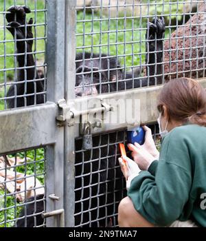 In this May 7, 2012 photo, primate caretakers Jill Moyse, left, and ...