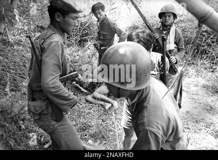 Vietnamese soldiers capture a communist Viet Cong guerrilla hiding in ...