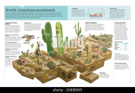 Infografik zu Merkmalen, Fauna und Flora der amerikanischen Tundra und ...