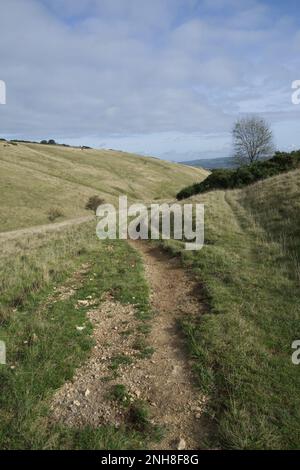Cleeve Common, auf Cleeve Hill, Cheltenham, Gloucestershire, England ...