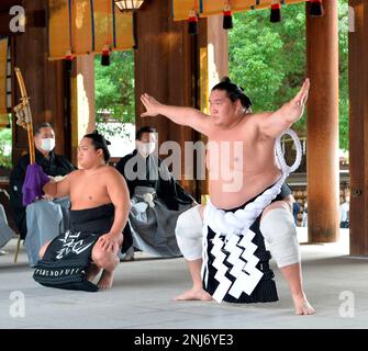 Yokozuna Terunofuji Haruo, Mongolian Sumo wrestler, performs ring ...