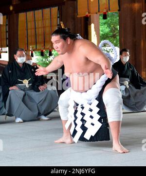 Yokozuna Terunofuji Haruo, Mongolian Sumo wrestler, performs ring ...
