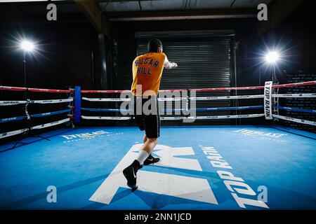 Nico Ali Walsh trains at Top Rank Gym, Monday, July 12, 2021, in Las ...