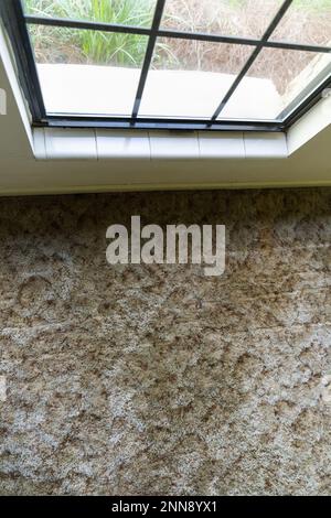 Alte und dreckige braune Teppiche aus einem Haus aus den 70er Jahren ...