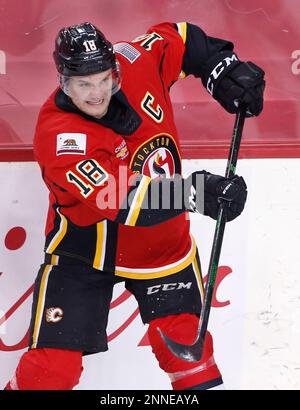 AHL (American Hockey League) profile photo on Belleville Senators ...