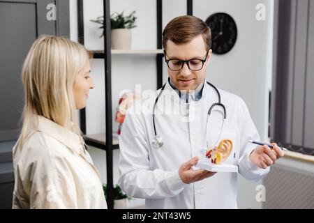 Ein junger attraktiver Hals-Nasen-Ohren-Arzt zeigt ein Modell des Ohres ...