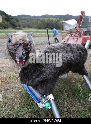 A robot called " Super Monster Wolf'' is set to protect from serious ...