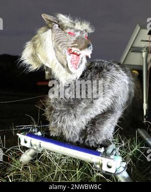 A robot called " Super Monster Wolf'' is set to protect from serious ...