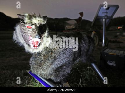 A robot called " Super Monster Wolf'' is set to protect from serious ...